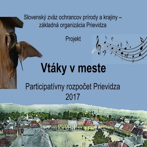 Vtáky v meste | PPT