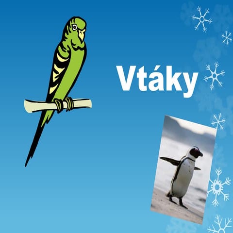 Vtáky | PPT