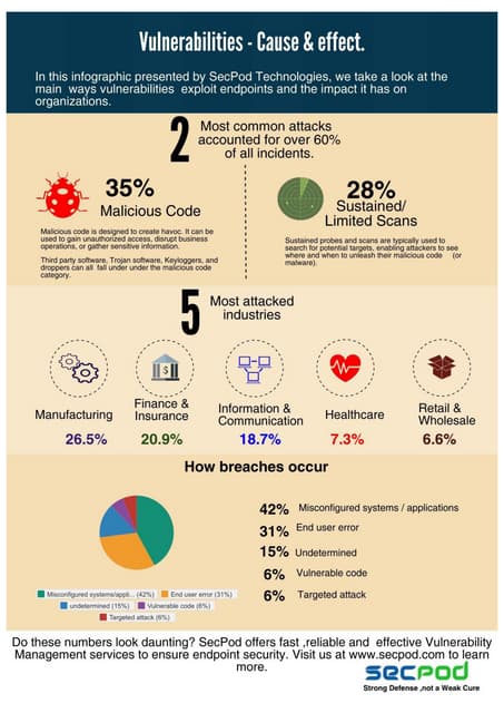 Vulnerabilities By Numbers | PDF