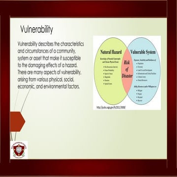 Vulnerability-and risks and safety hazard | PPT