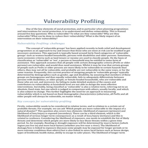 Vulnerability Profiling 0 Pdf