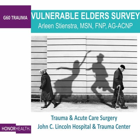 Vulnerable Elderly Study (Arleen Stienstra) | PDF