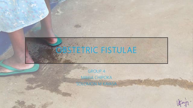 Skene’s gland anatomy features and functions | PPTX