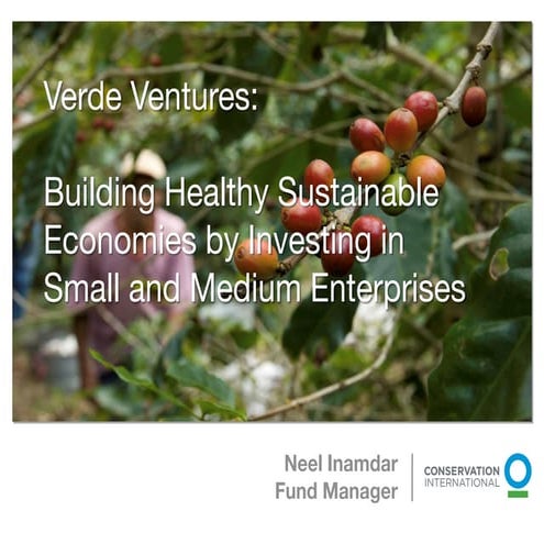 Verde Ventures Overview | PDF