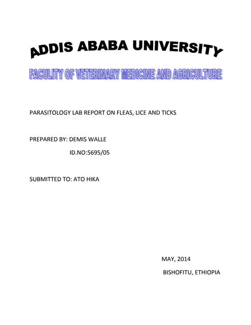 DIFFERENCE BETWEEN BOS TAURUS AND INDICUS | PDF