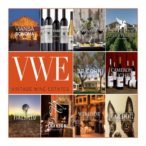 VWE Investor Presentation 6.9.21