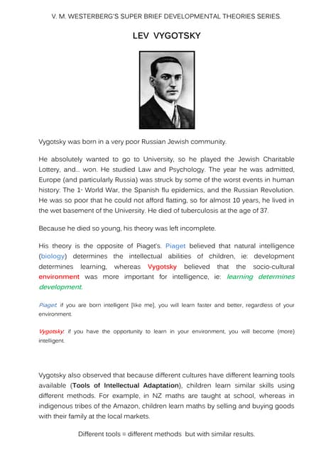 What is Barbara Rogoff's developmental theory? | PDF