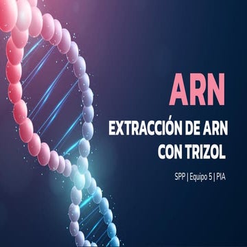 Extracción de ARN con Trizol | PIA de SPP | PDF