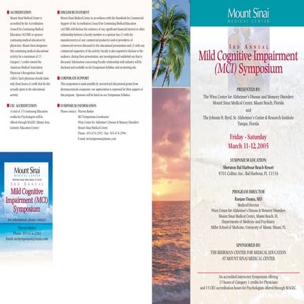 MCI brochure 2008 | PDF