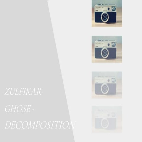 Decomposition by Zulfikar Ghose | PPTX
