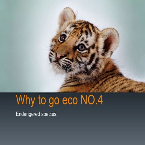 25 most endangered animals powerpoint | PPTX