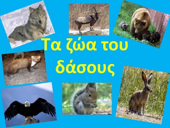 κειμενο για σκιουρακια | PPT