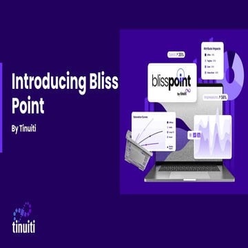 Introducing Bliss Point by Tinuiti Webinar | PPT