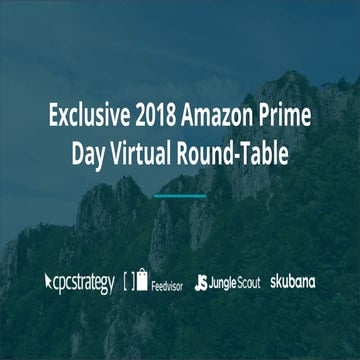 Exclusive 2018 Amazon Prime Day Virtual Round-Table | PPT