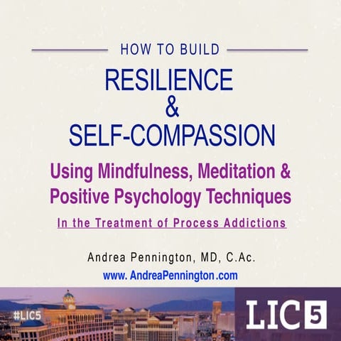 Mindfulness Meditation & Positive Psychology Practices for Stress ...