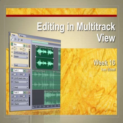 Editing In Multitrack View | PPT