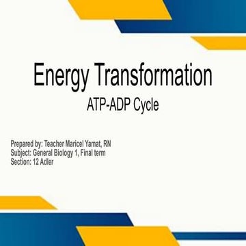 W1 PPT ATP-ADP Cycle.pdf