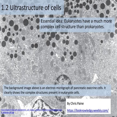 W2_1.2 Ultrastructure of Cell.pdf