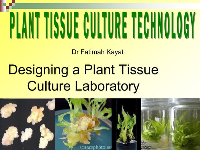 Plant tissue culture laboratory | PPTX
