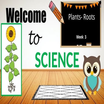 W3 Science.pptxigihiououpoupip[o][p\\]pjop[ | PPTX