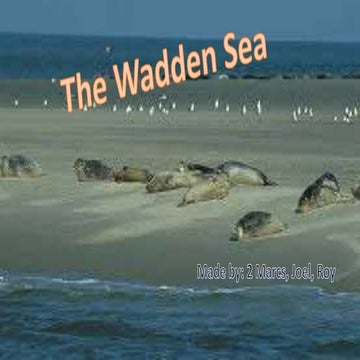 Waddenzee | PPTX