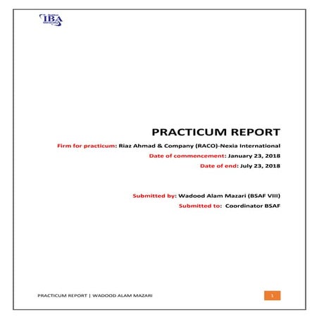 Audit Firm Practicum Report By Wadood Mazari | PDF