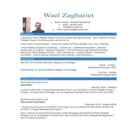 Wael resume | PDF