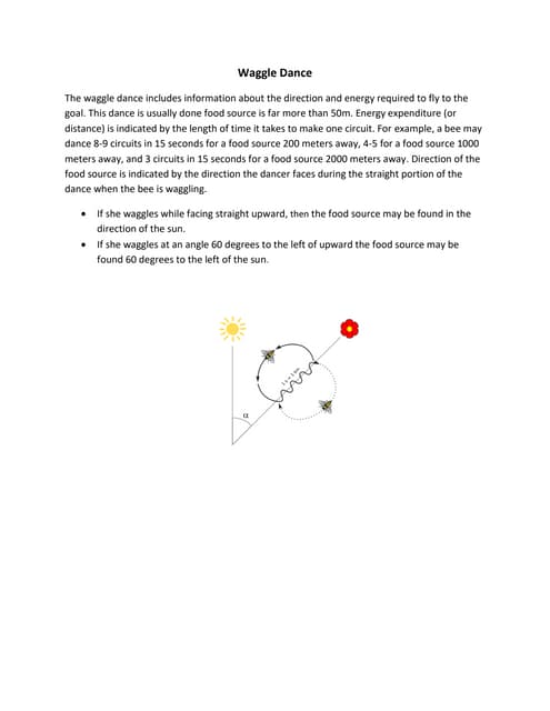 Modern method of apiculture - Apiculture - Beekeeping | PDF ...