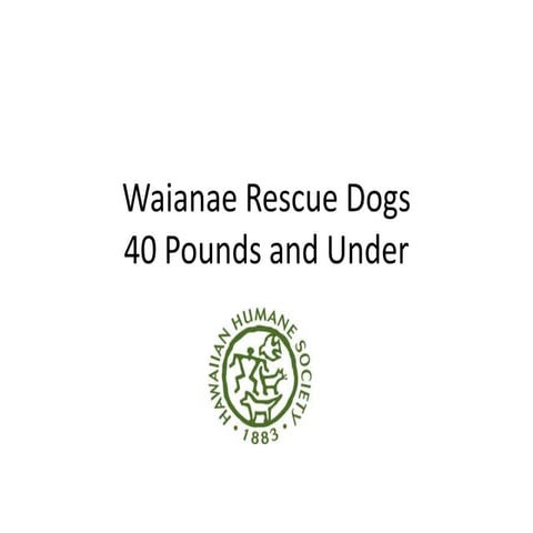 Mililani Cat Rescue | PPTX