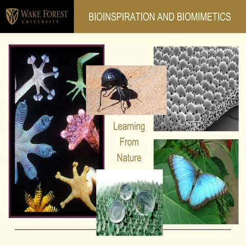 Wake Forest - Bioinspiration & Biomimetics - Open 2011 | PPTX