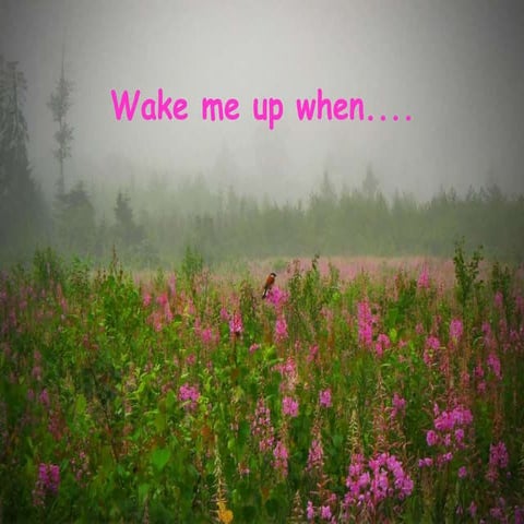 Wake Me Up When... | PPS