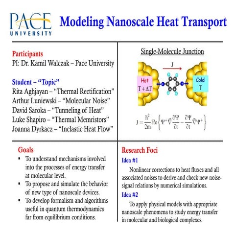 Modeling Nanoscale Heat Transport | PDF