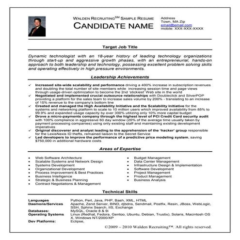 Resume IT Officer Sample | PDF