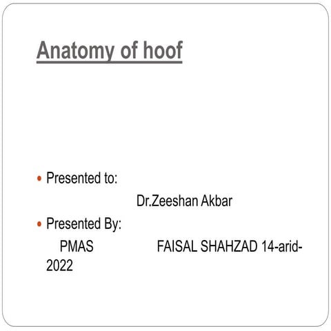 Cardiovascular system of goat | DOCX