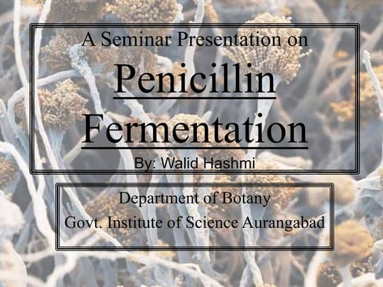 Production of Penicillin by Fermentation | PPTX | Chemistry | Science