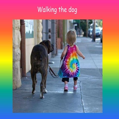 Walking the dog | PPTX | Dogs | Pets
