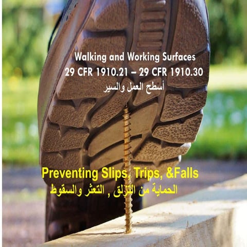 Walking &Working Surfaces – Stairs & Ladders.pdf