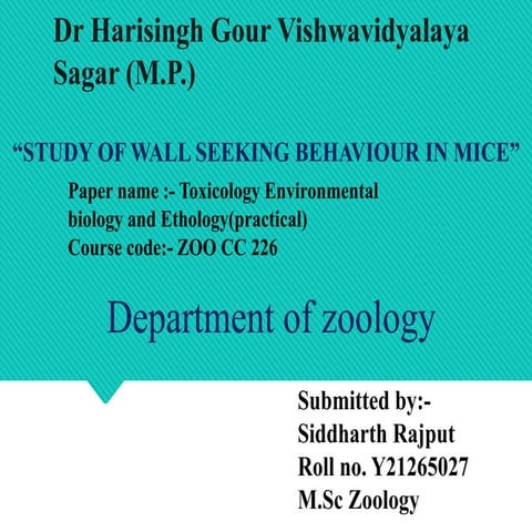 wall seeking behaviour in mice.pptx