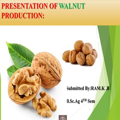 Walnut presentation | PPTX