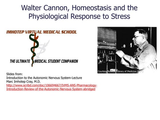 Bradford mvsu fall 2012 sociology of emotions | PPT