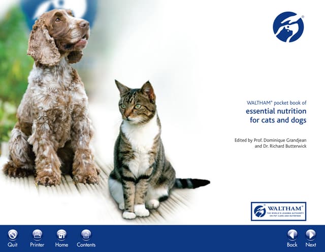Cat & dog nutrition | PPTX