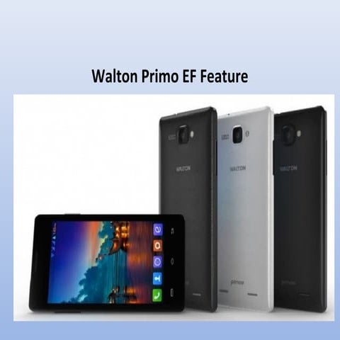 Walton primo ef features petfnf.com