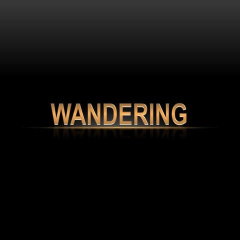 Major Exploration - Wandering Presentation | PPTX