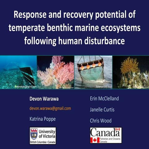 Response and Recovery Potential of Benthic Marine Ecosystems | PPT