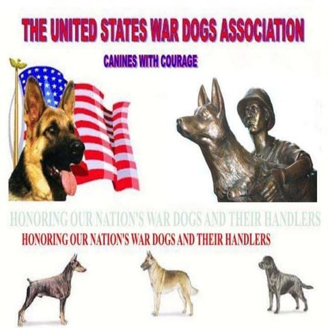 War dogs | PPTX