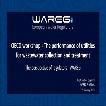 Presentation - OECD workshop on the performance of utilities for ...