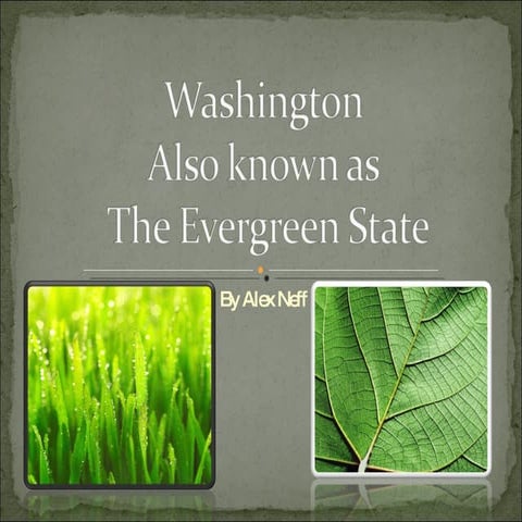 Washington Powerpoint | PPT