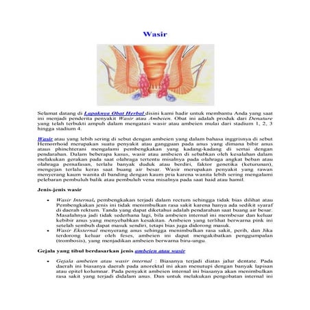 Wasir | PDF