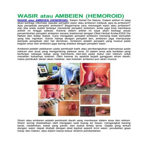 Wasir dan pengobatanya | PDF