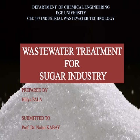Wastewater Treatment for Sugar Industry | PPTX